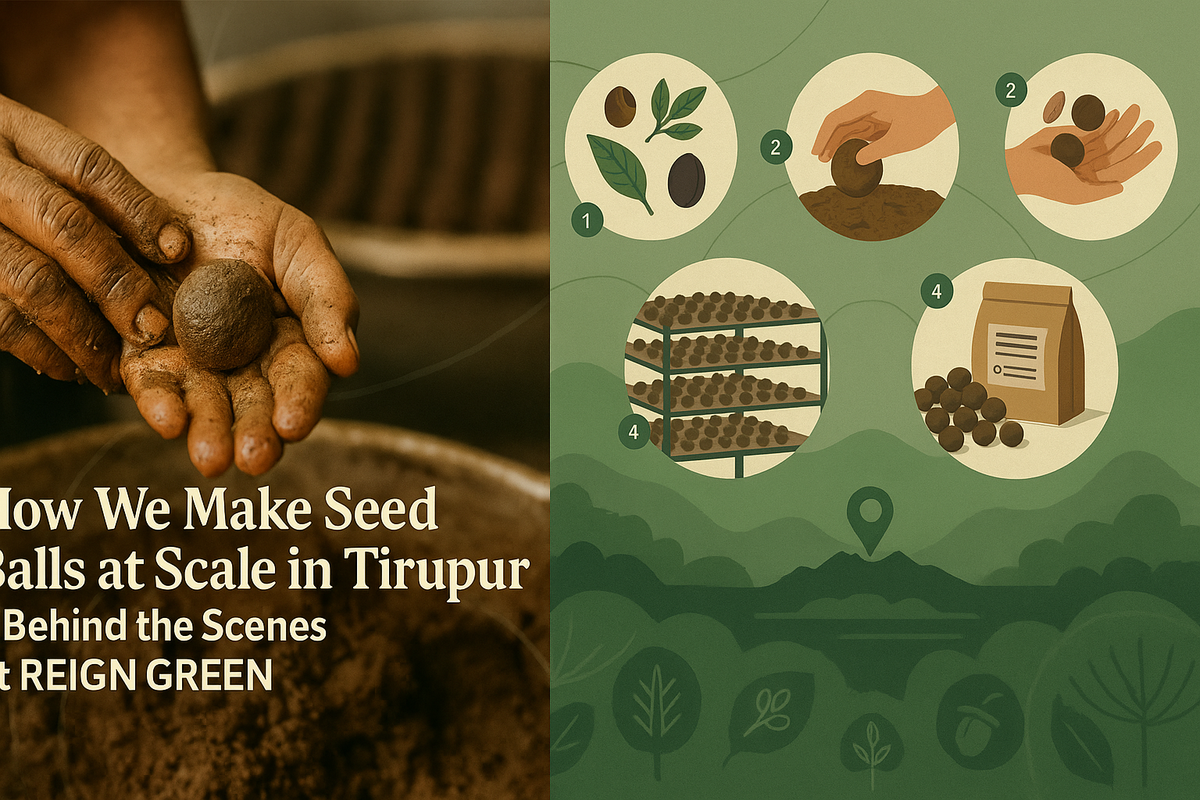 How We Make Seed Balls at Scale — Behind the Scenes at REIGN GREEN ...