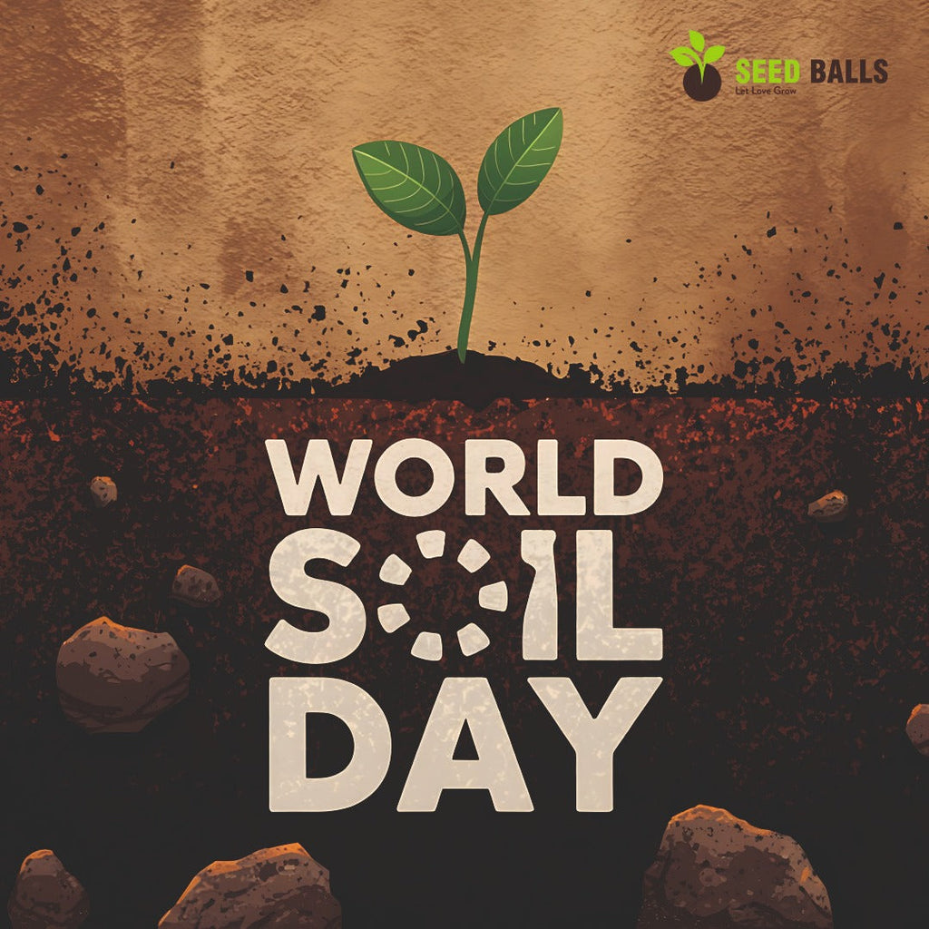 BEST 5 WAYS TO CELEBRATE WORLD SOIL DAY!! – seedballs