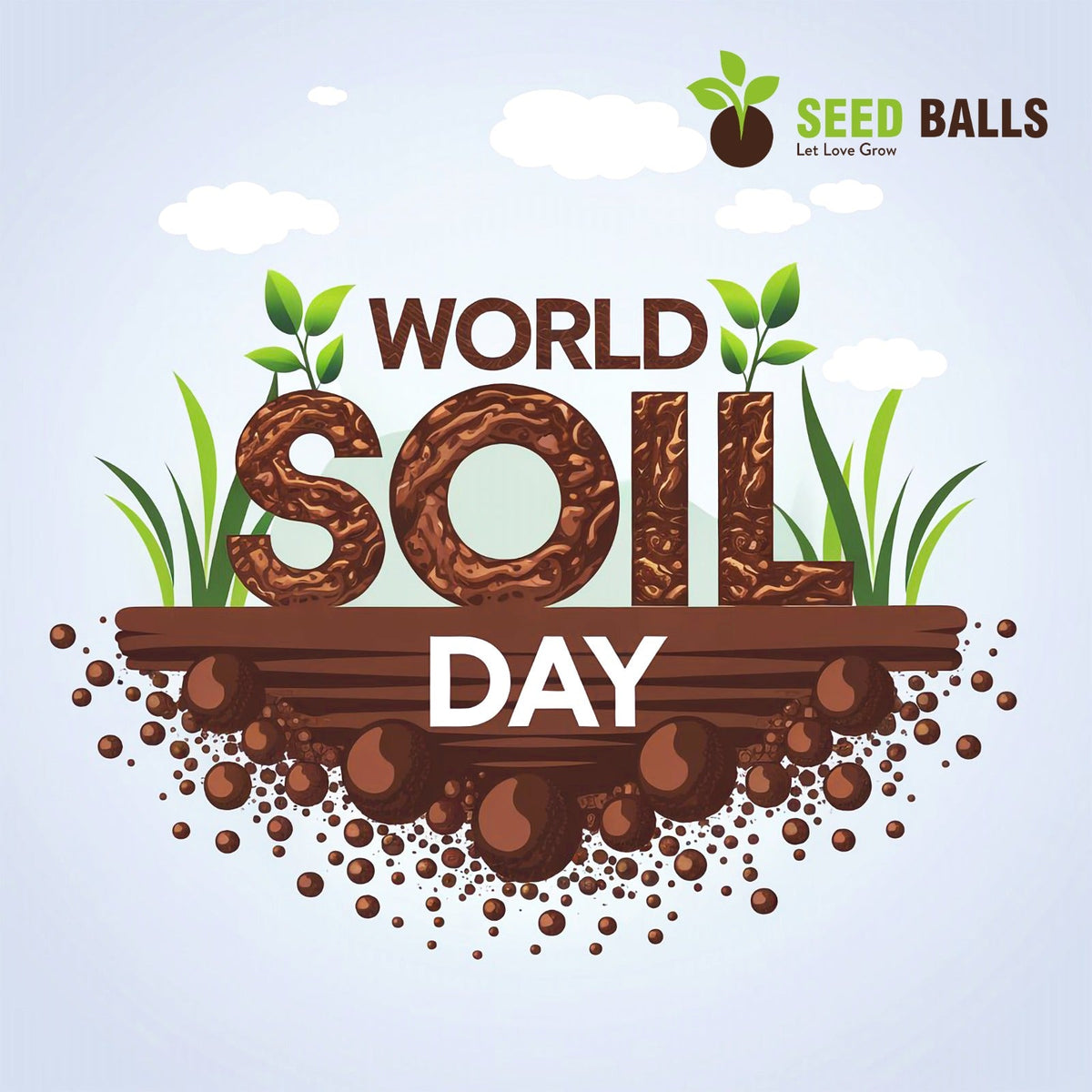 🌱 WORLD SOIL DAY - 2025 – seedballs