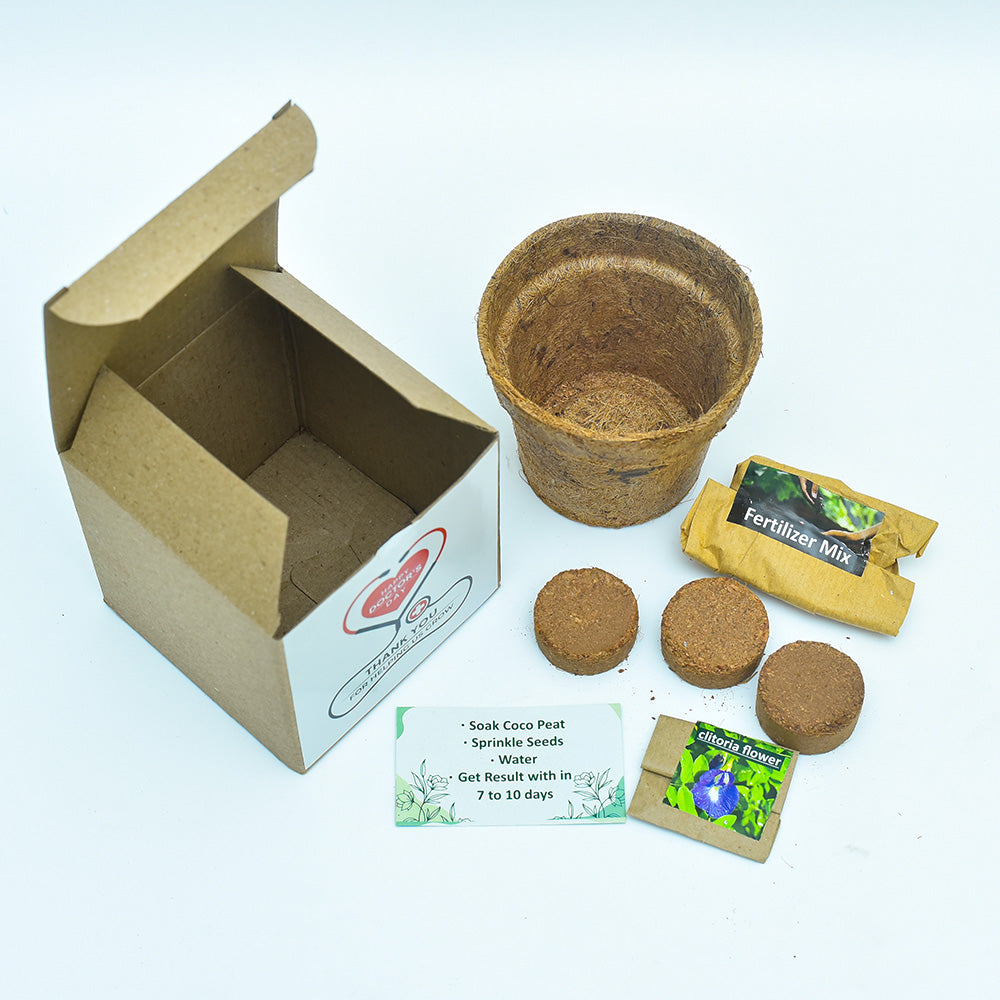Custom Plantable DIY Grow Kit for Doctors | Includes Coir Pot, Coins ...
