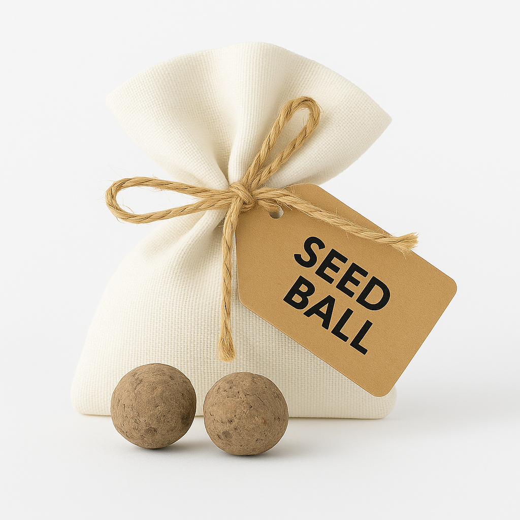 Plantable Seed Ball Gift Pouch – Pack of 2 (Eco-Friendly Return Gift ...