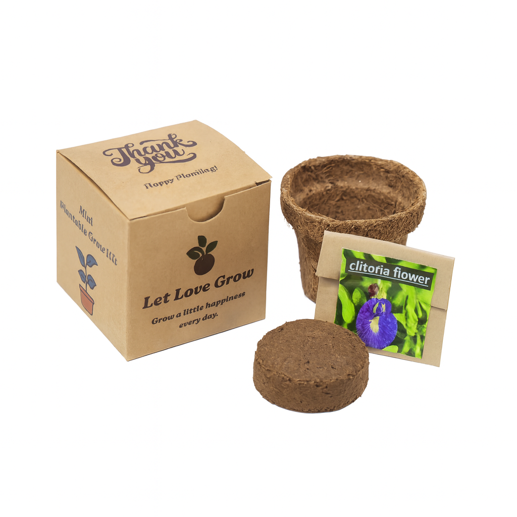 Mini Plantable Grow Kit Eco Friendly Diwali Corporate Gift Seedballs