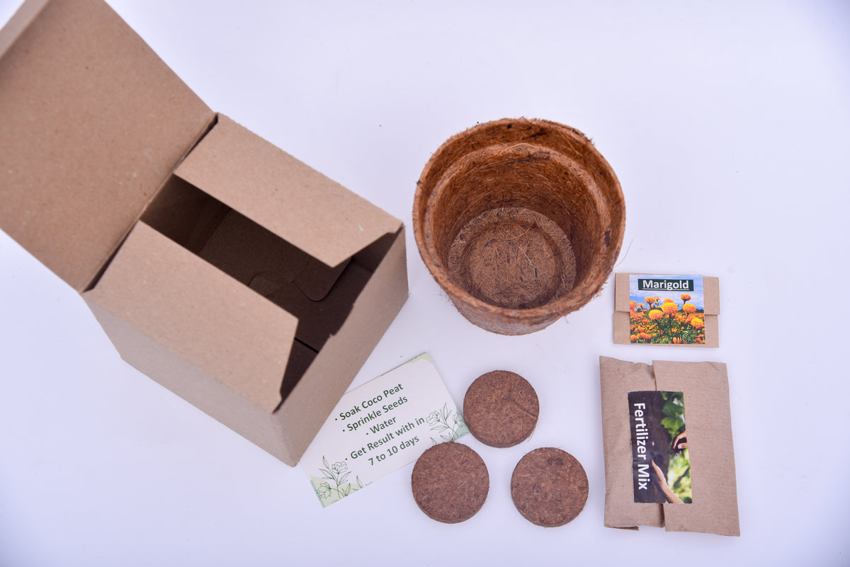 Grow Together DIY Plant Kit—The Thoughtful Corporate Gift That Inspire ...