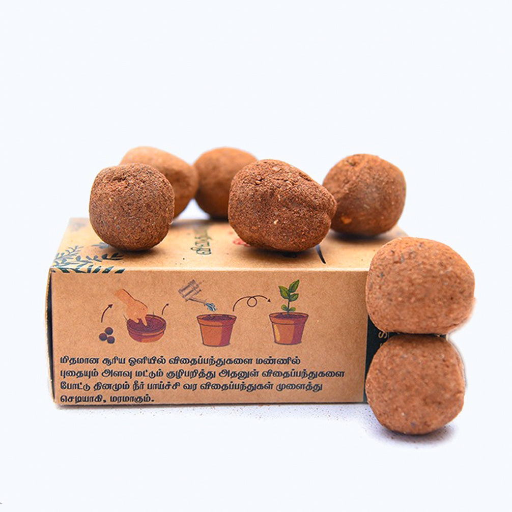 Pack of 6 Tree Seed Balls with Eco-Friendly Kraft Box – Sustainable Pl ...