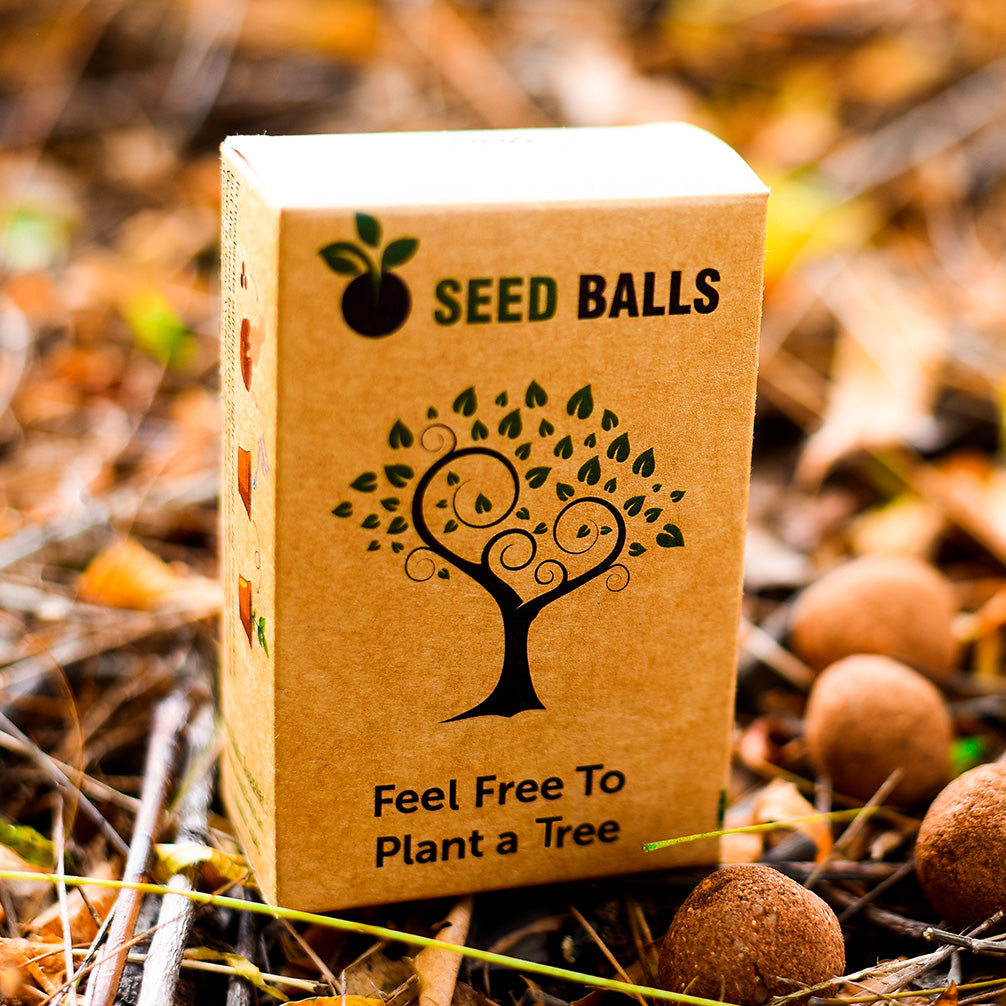 Pack of 6 Tree Seed Balls with Eco-Friendly Kraft Box – Sustainable Pl ...